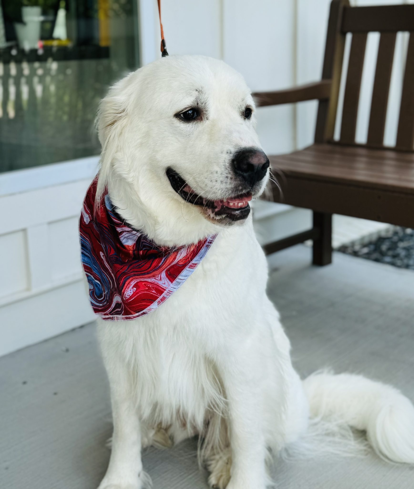 Adopted Furever Dogs – Great Pyrenees Rescue of Atlanta