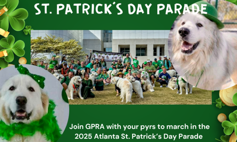 2026 St. Patrick’s Day Parade – Great Pyrenees Rescue of Atlanta